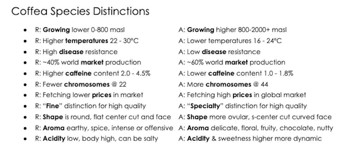 Cupping — Specialty Coffee Training - From Green to Cup - Online — ROCC