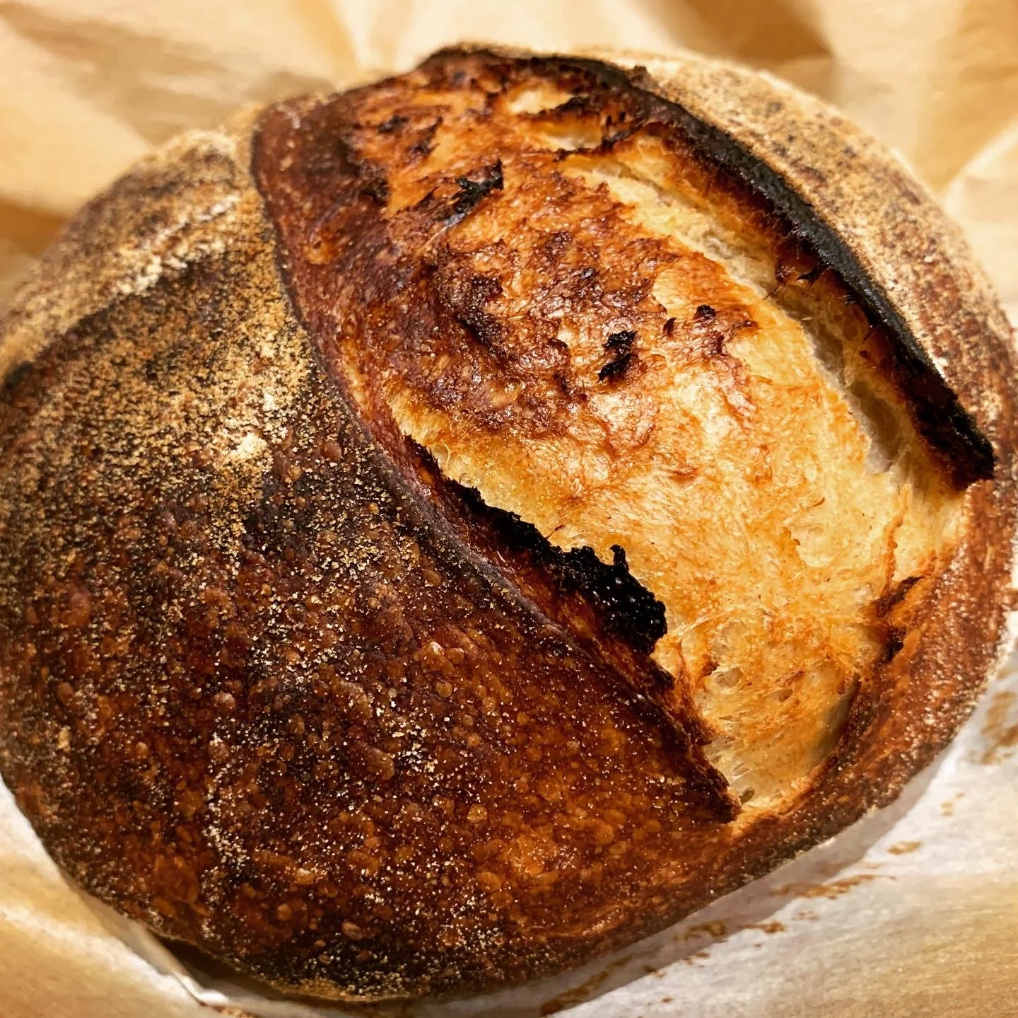 Your Invited! Peter’s Sourdough Bread Class — Peter Kofitsas