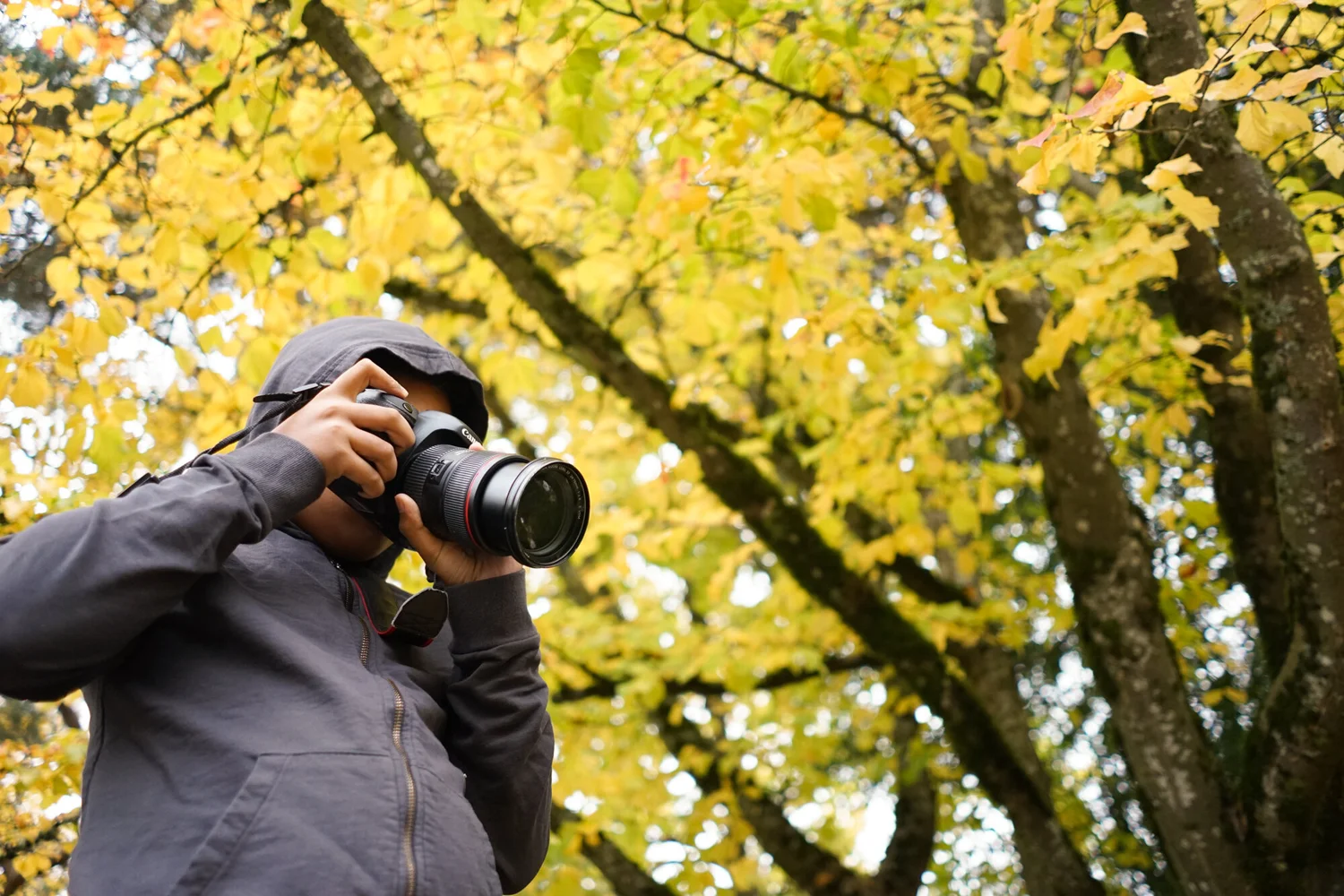 3 Easy Ideas to Get your Kids Creating with Cameras at Home! — The ...