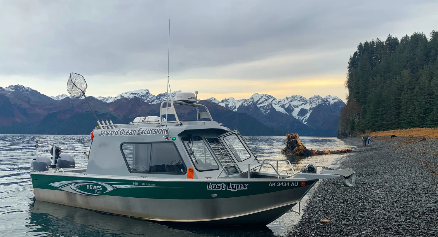 Alaskan Excursions | AlaskaVans | CamperVan Rental