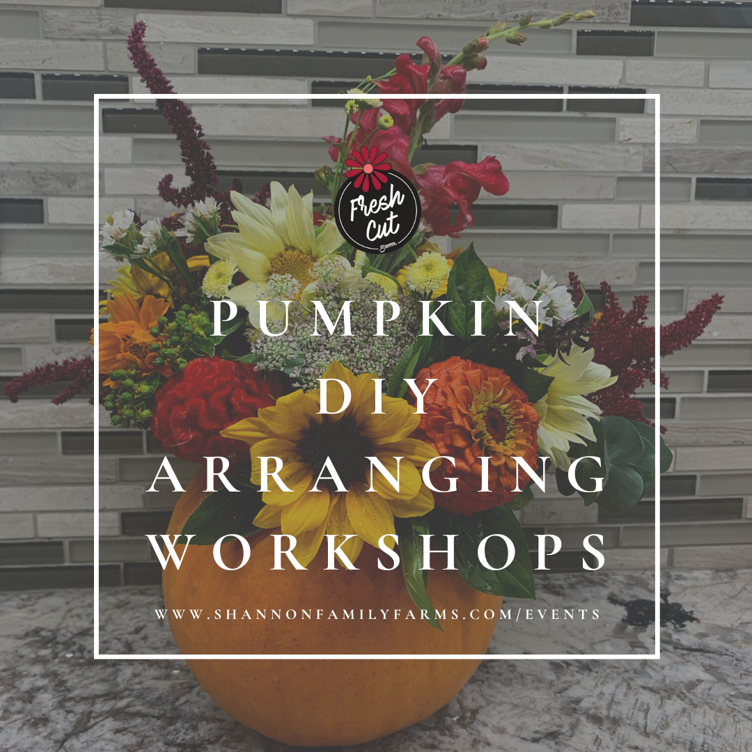 Purchase Flowers & Events — Fresh Cut by Shannon Family Farms | U-Pick Flower Farm | Indiana