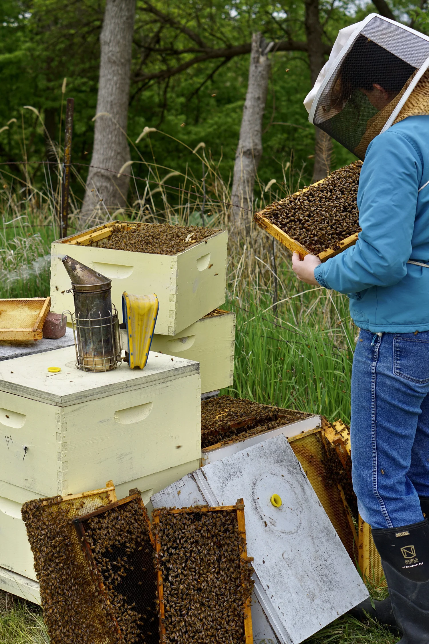 Bountiful Blossoms Bee Co.