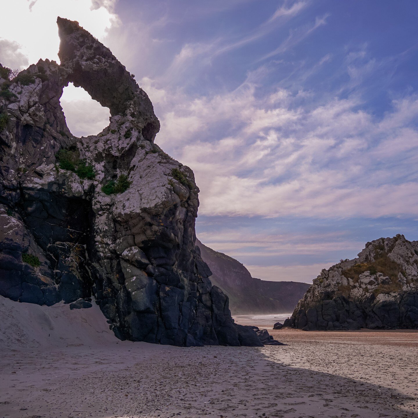Bountiful Blossoms Bee Co.