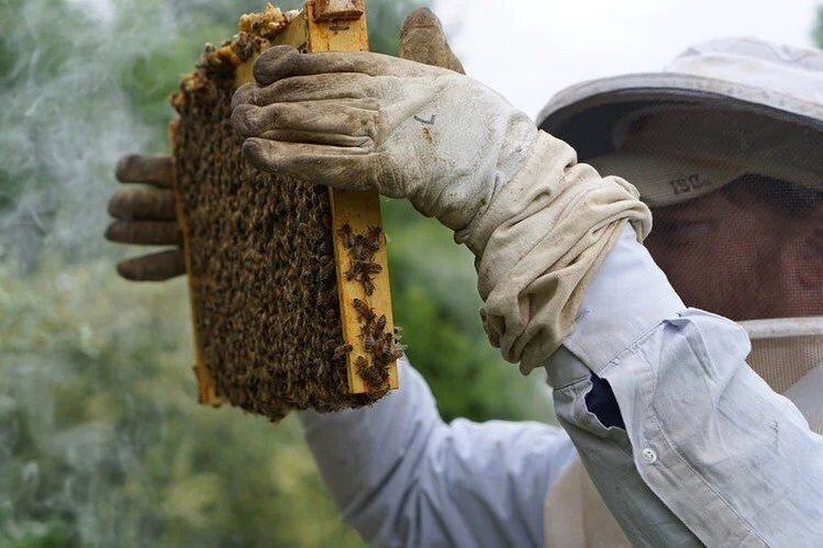 Bountiful Blossoms Bee Co.