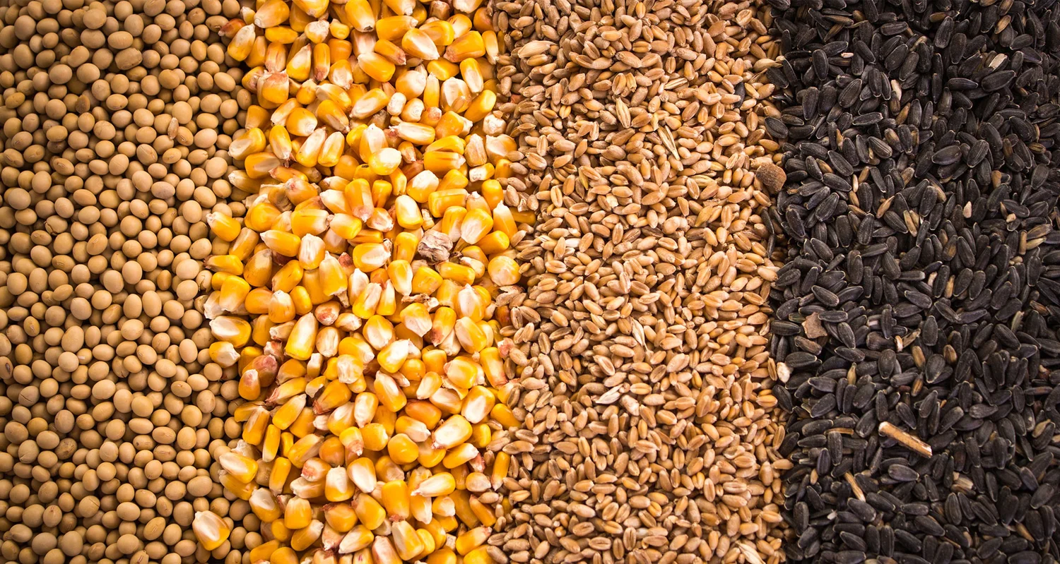 Food Commodities