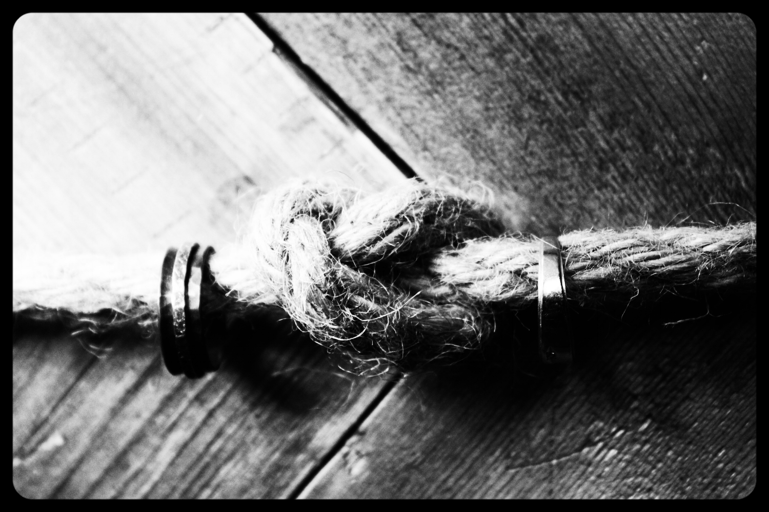 Weddings — Chance Dillon Weddings & Coaching | Nashville, TNChance ...