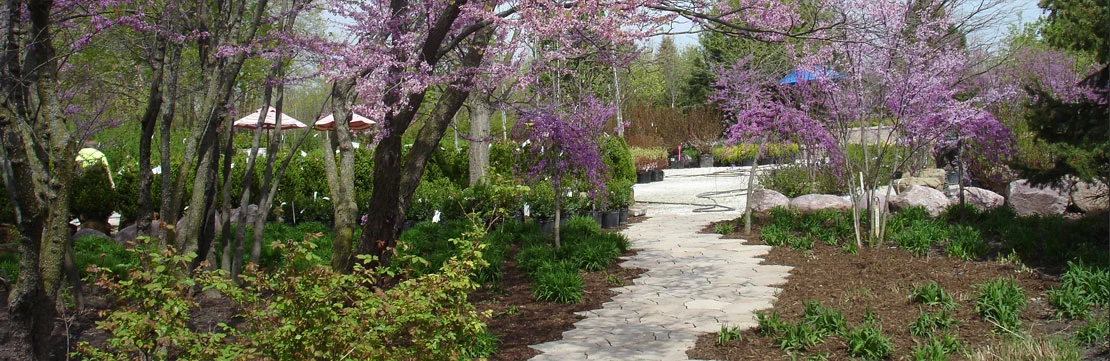 The Fields on Caton Farm | Landscape Design at The Fields