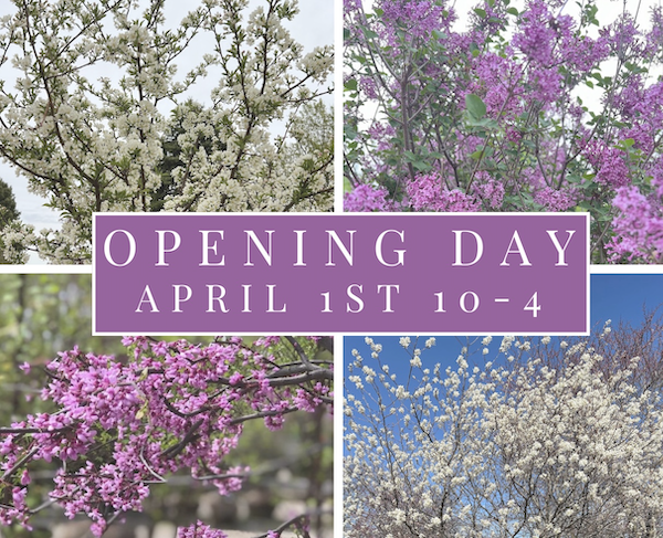 The Fields on Caton Farm | News and Events