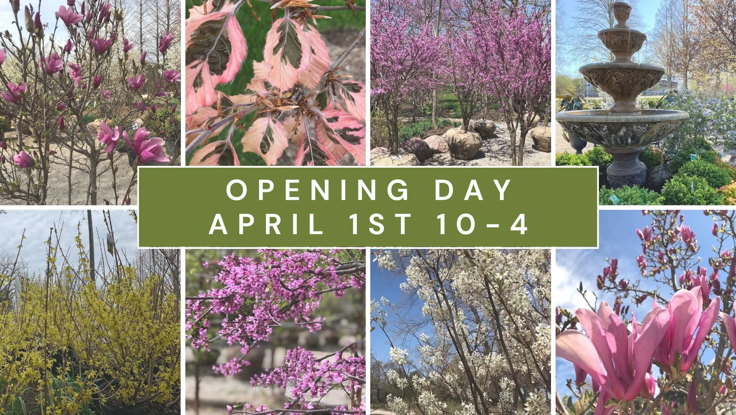 The Fields — Opening Day- April 1st, 2024!