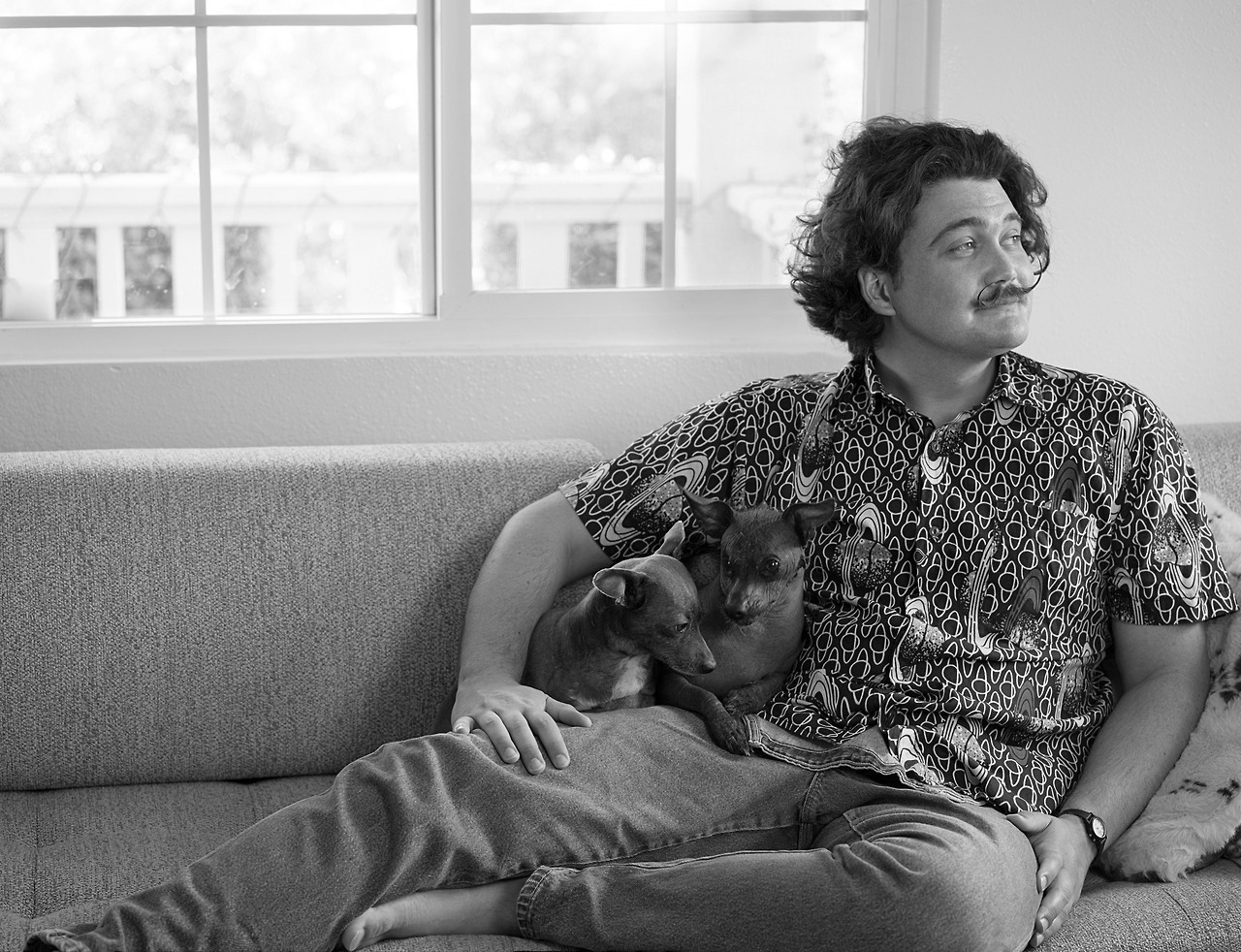 David Shook 2021 — Lit & Luz