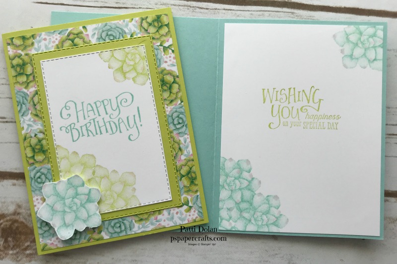 Beautiful Succulents - Birthday Card — P.S. Paper Crafts