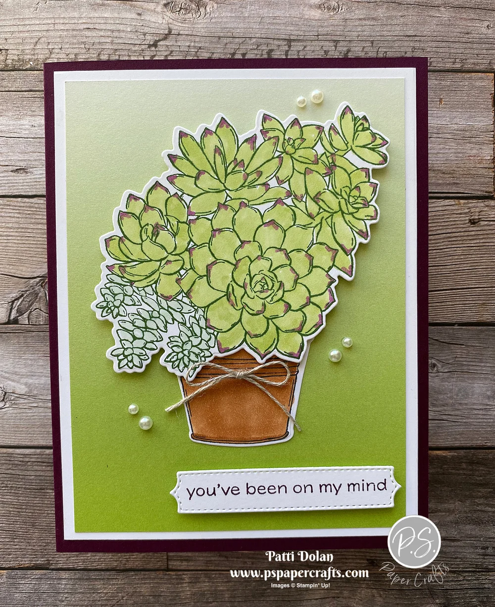 Beautiful Simply Succulents — P.S. Paper Crafts