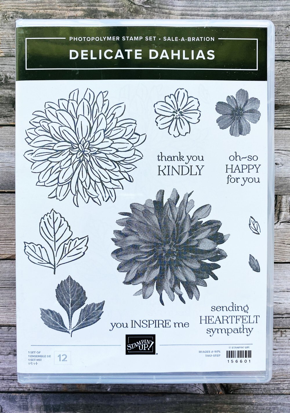 Delicate Dahlias - Sneak Peek!!! — P.S. Paper Crafts