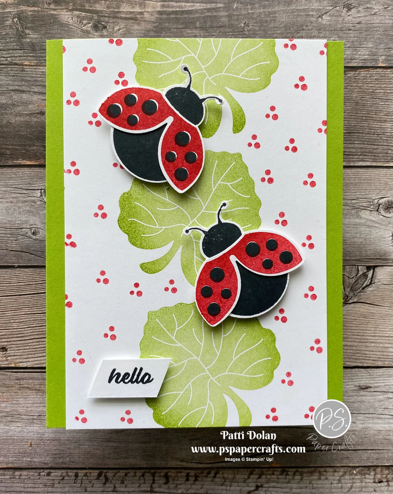 Cute Hello Ladybug Card — P.S. Paper Crafts