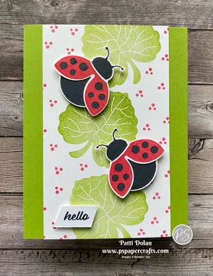 Cute Hello Ladybug Card — P.S. Paper Crafts
