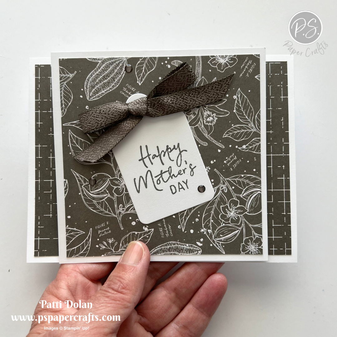 Double Decker Z Fold Cards — P.S. Paper Crafts