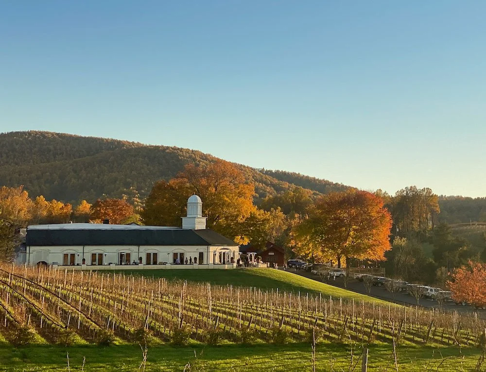 6 Vineyards You Must Visit For A Perfect Fall Girls Trip — Exhibit A