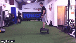 How to Use Plyometrics to Build Athletic Power and Speed — Conor O ...