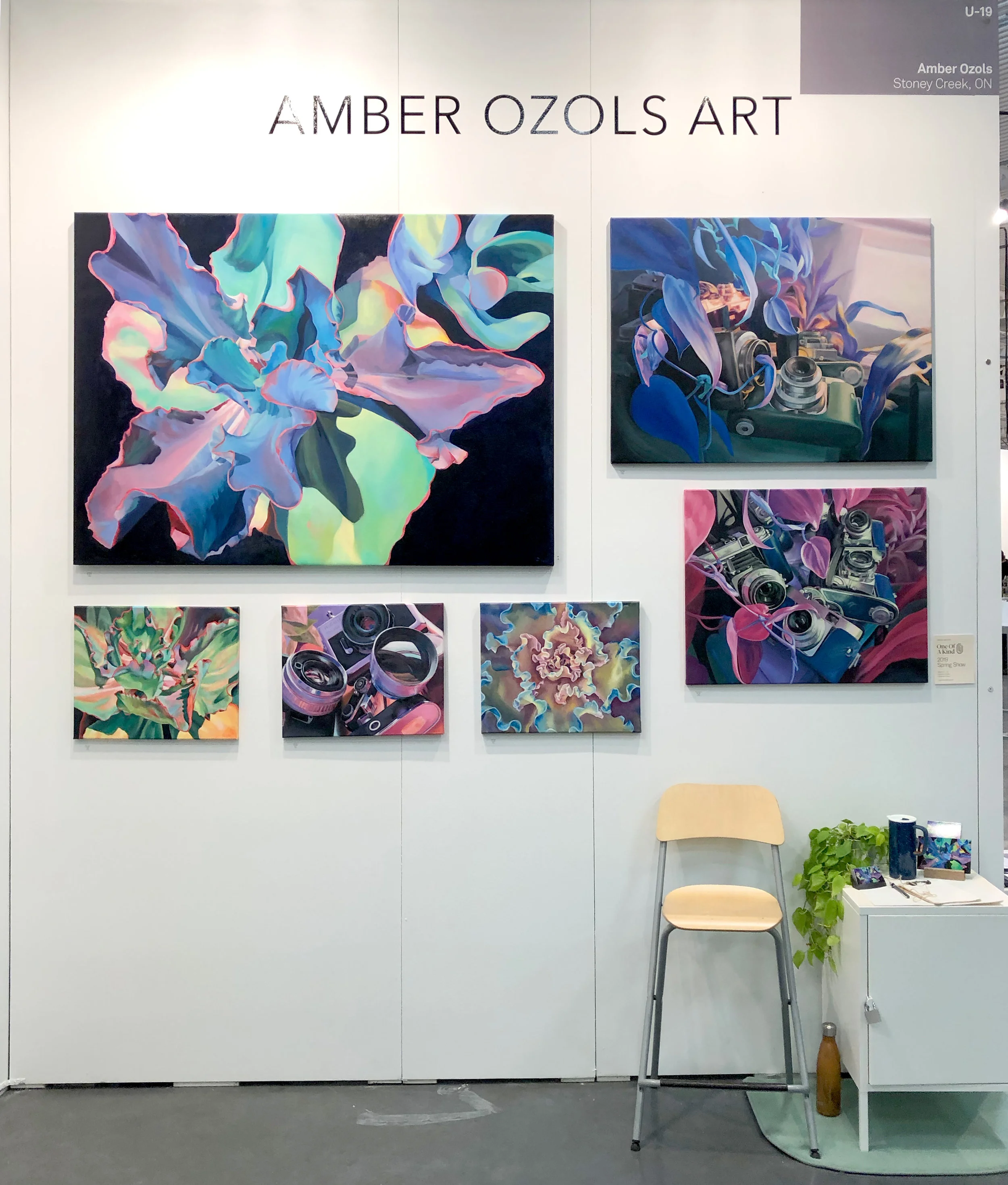 About — Amber Ozols Art