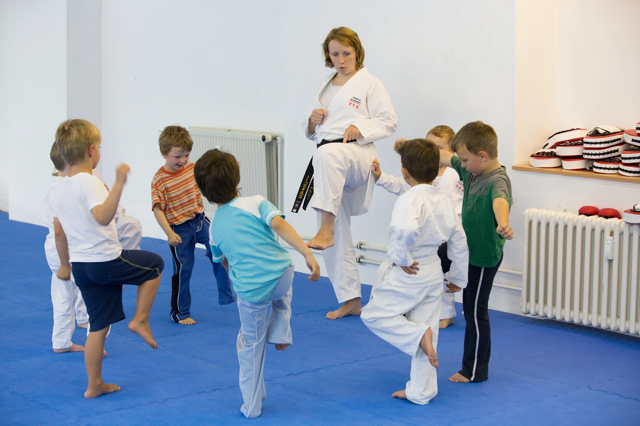 Karate Academy