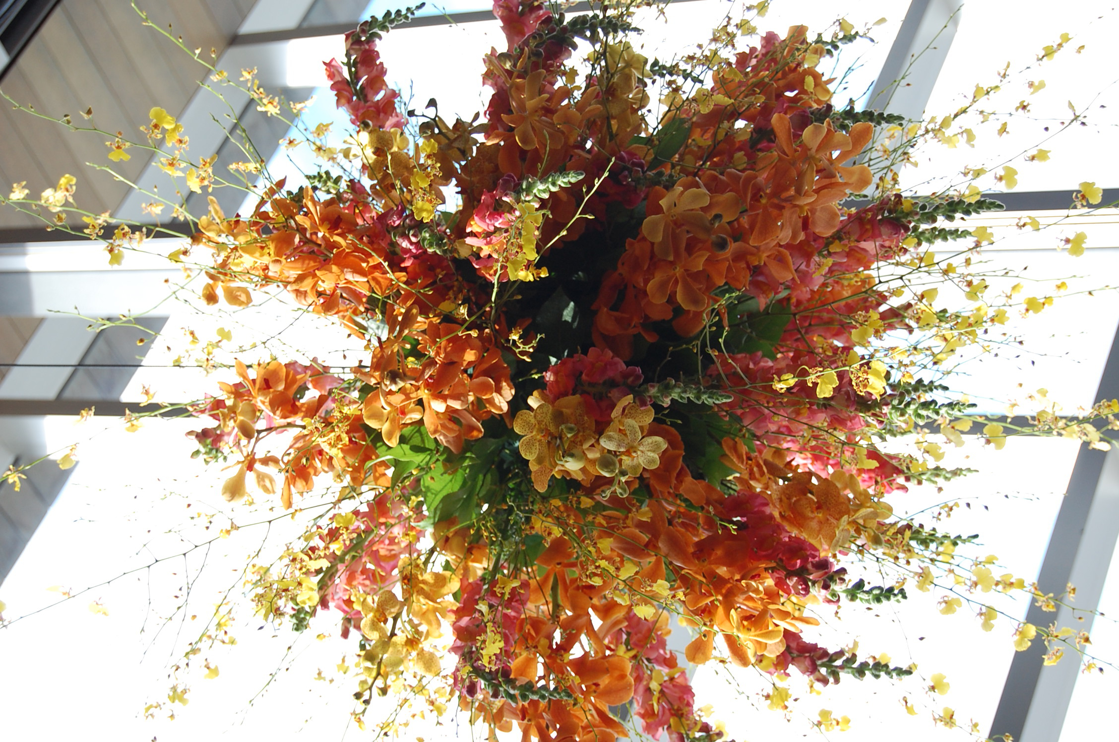 Floral Decor — New Leaf Flores