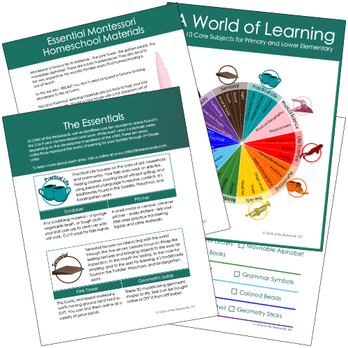 Child of the Redwoods