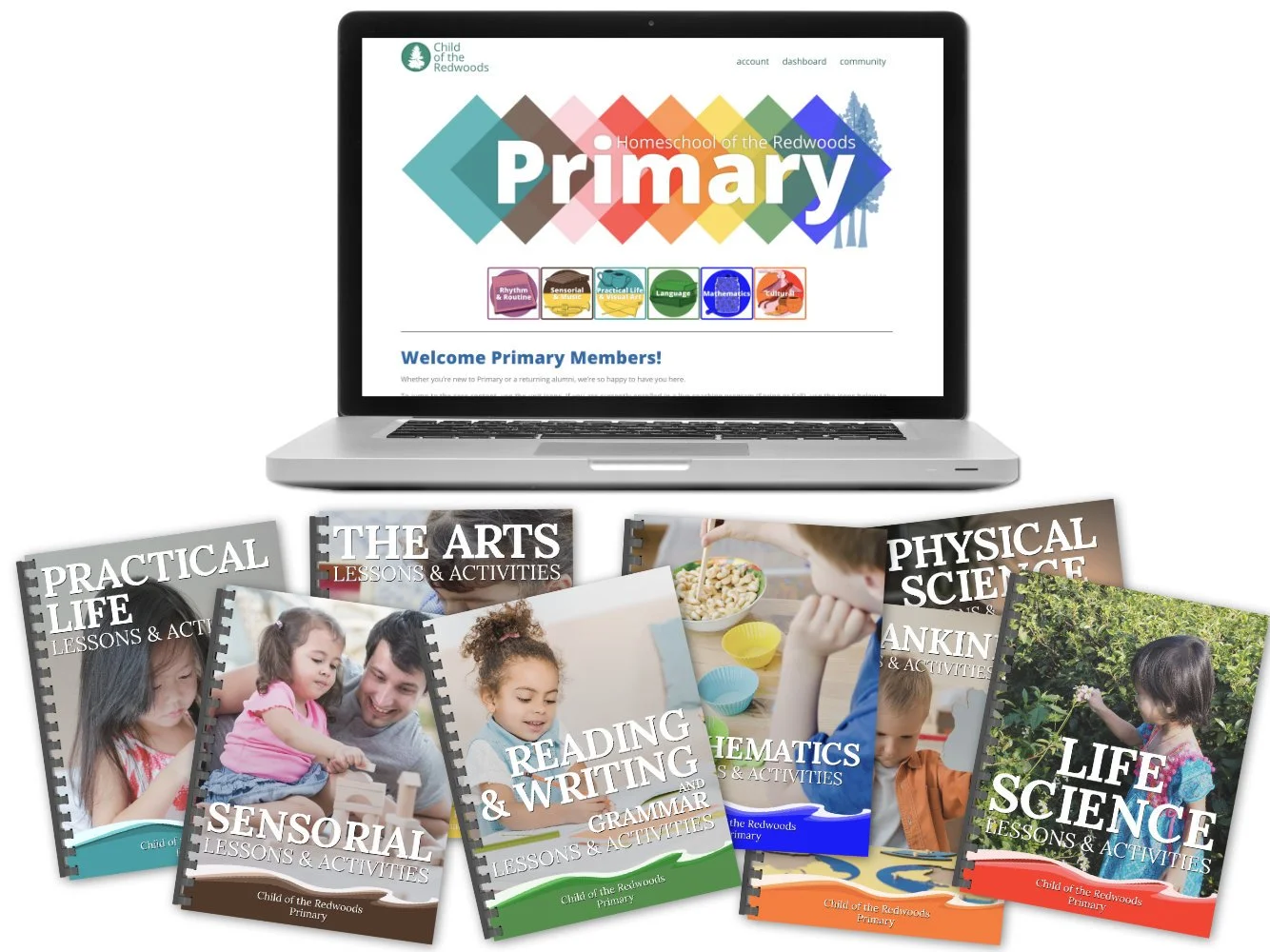 Child of the Redwoods