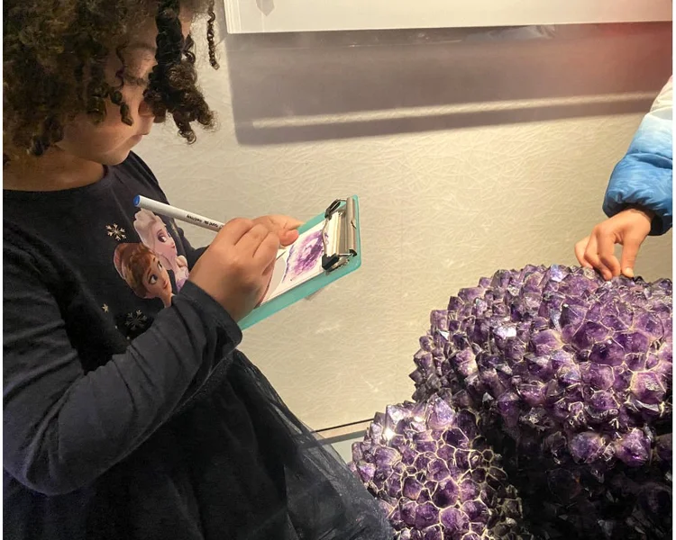 Montessori Homeschool Curriculum Plans for Real Families | Child of the ...