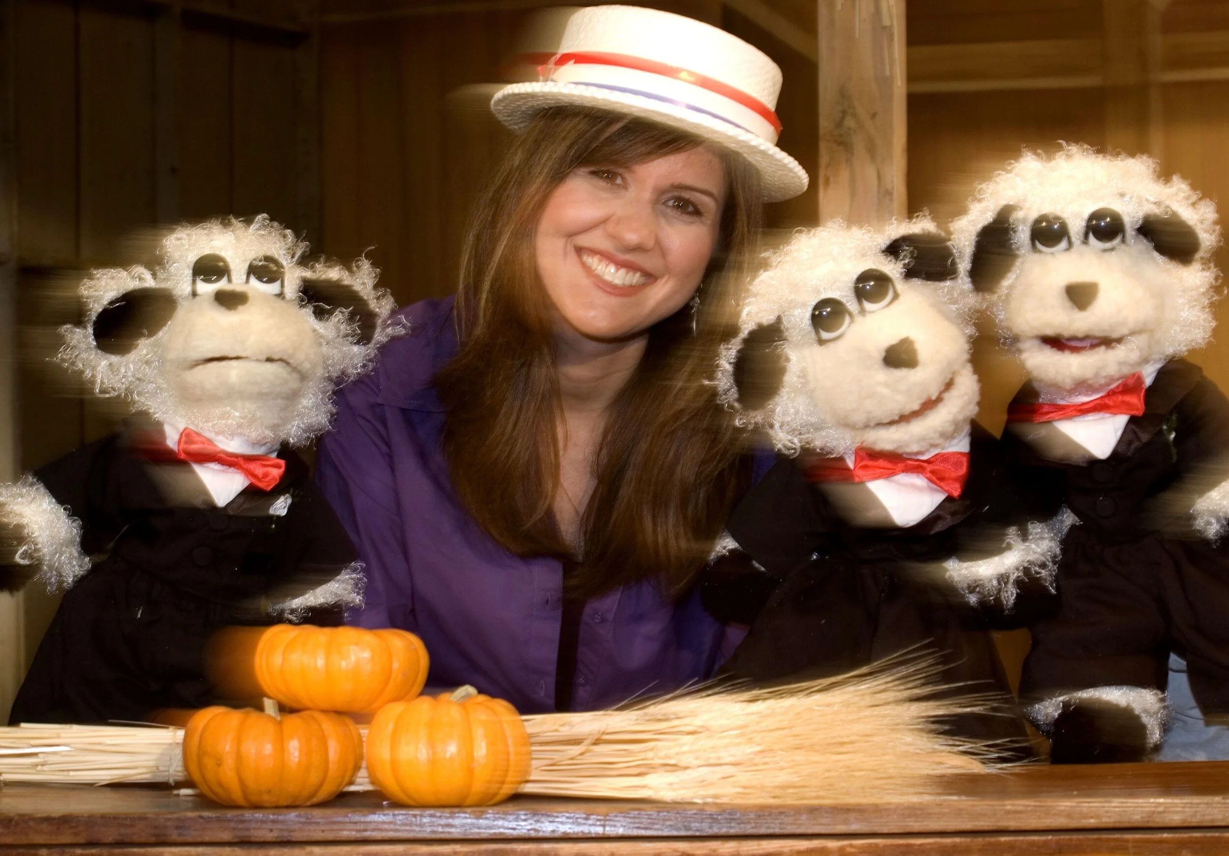 Gallery — Sandy Howell