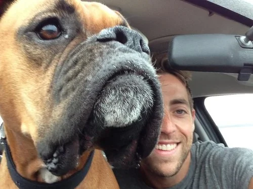 Contact — Andrew Southern