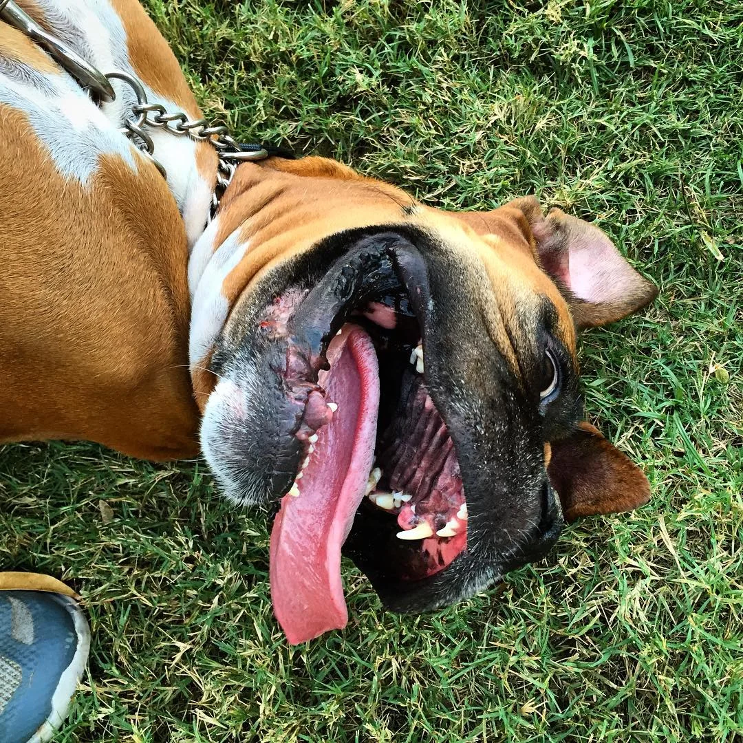 Music — Andrew Southern