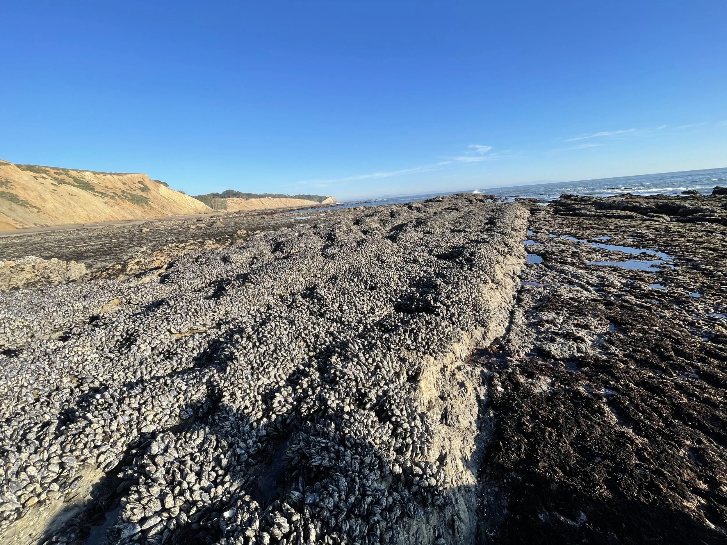 Visiting the Reef — EAC