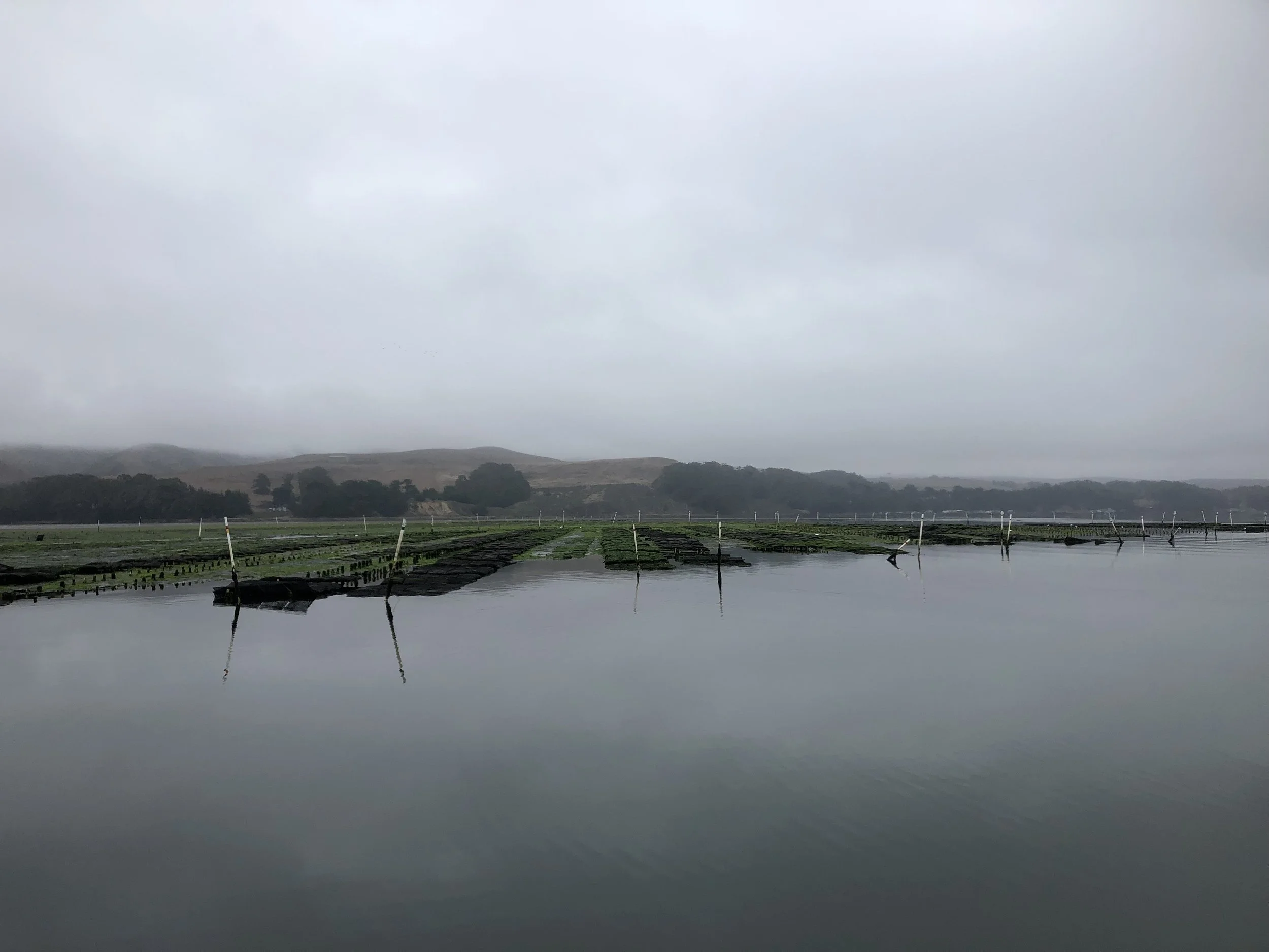 California’s Aquaculture Action Plan — EAC