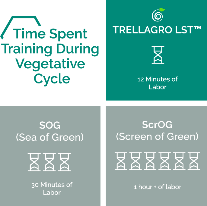 TrellaGro LST - The Horizontal Plant Training System