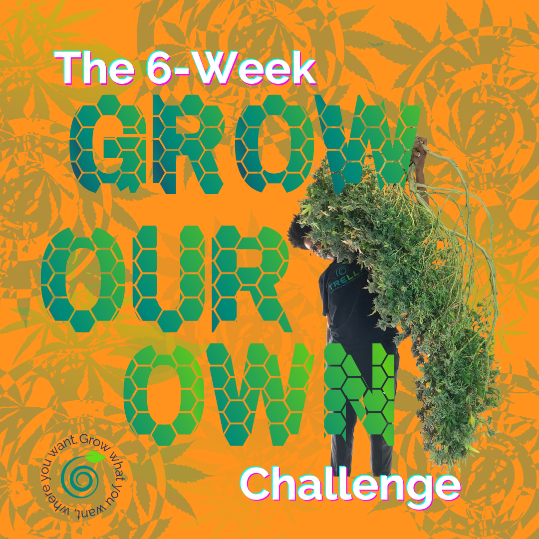 Trella Tech - Creators of TrellaGro LST™ the automated plant-training ...