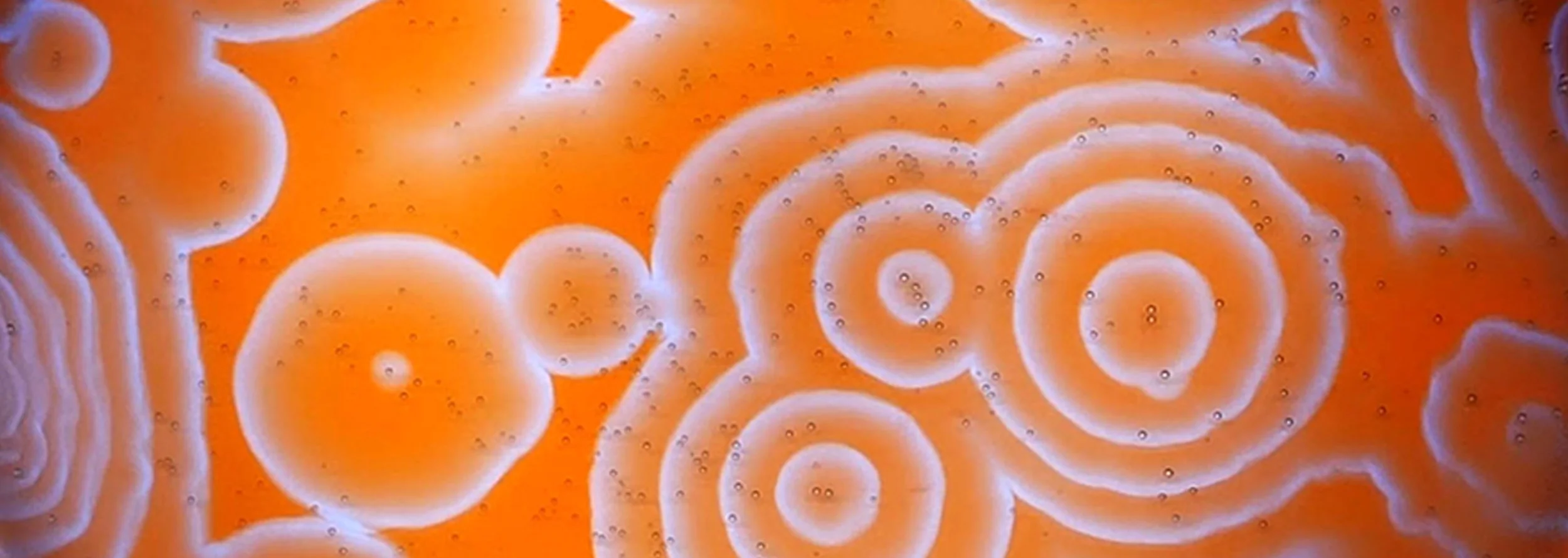 NileRed - Official Website