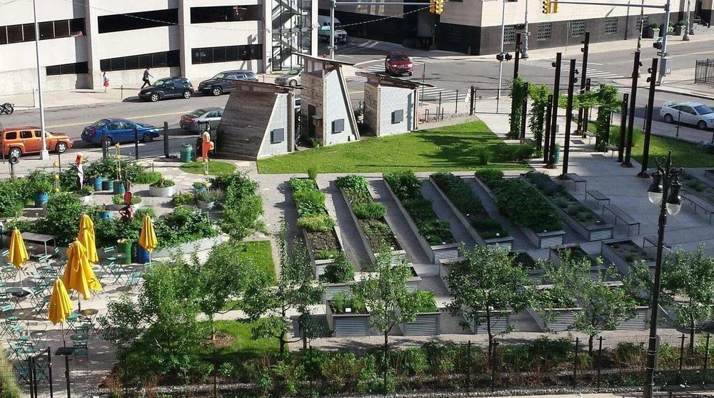 greeningofdetroit.com
