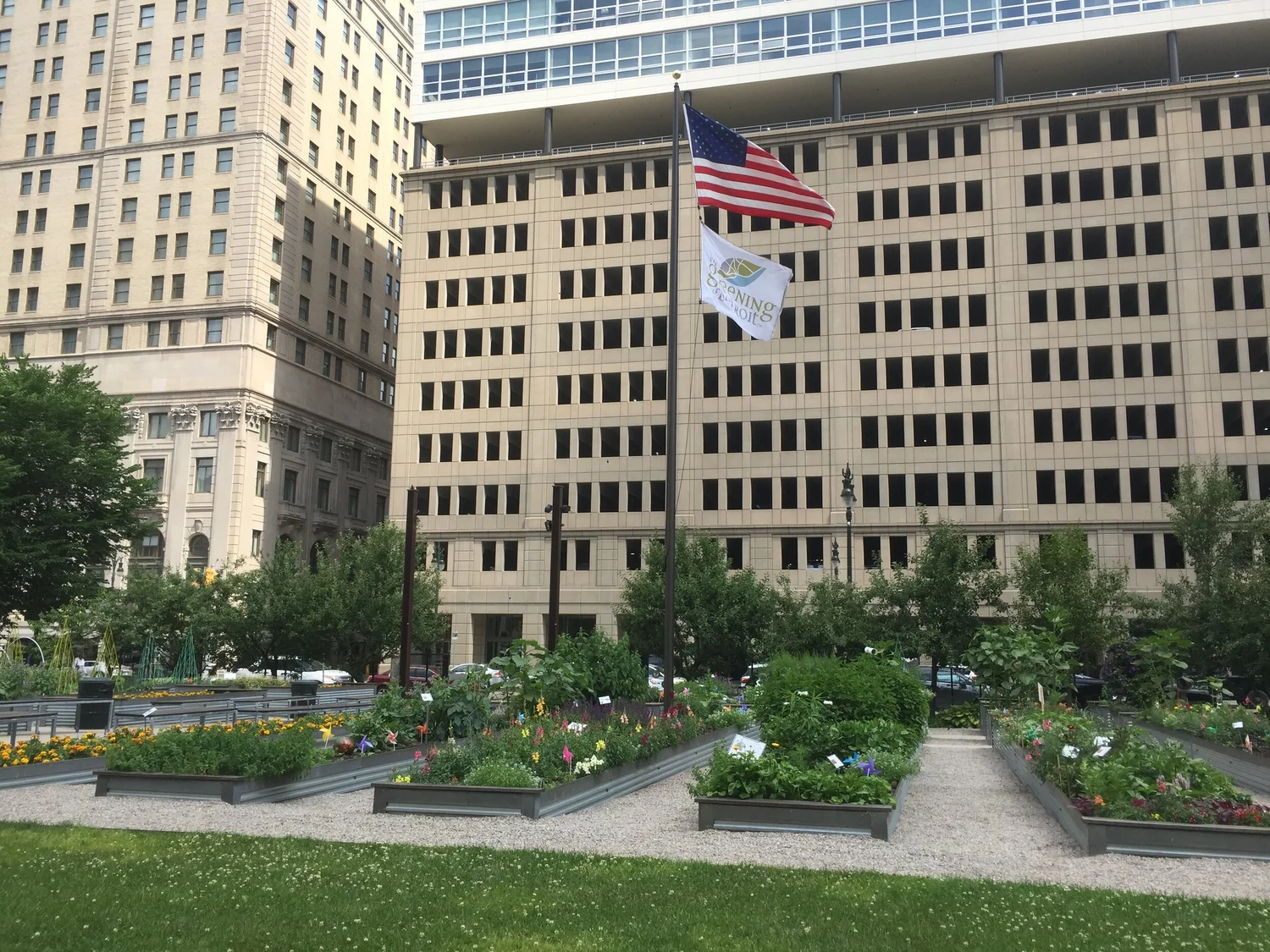 greeningofdetroit.com