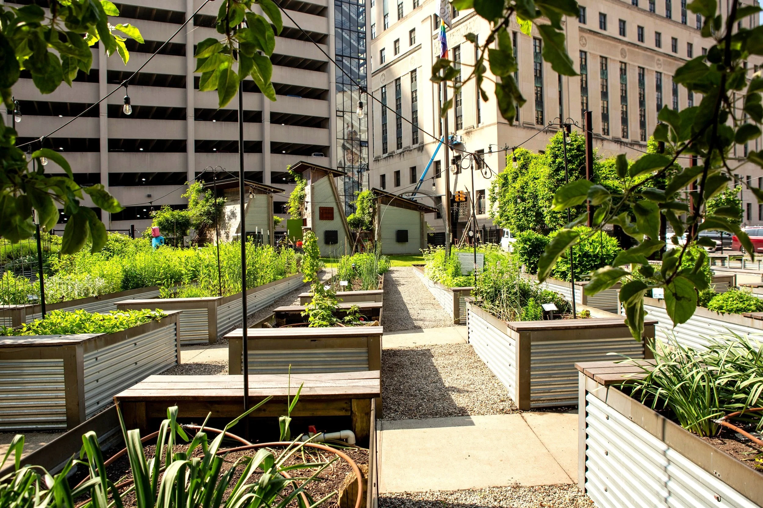 greeningofdetroit.com