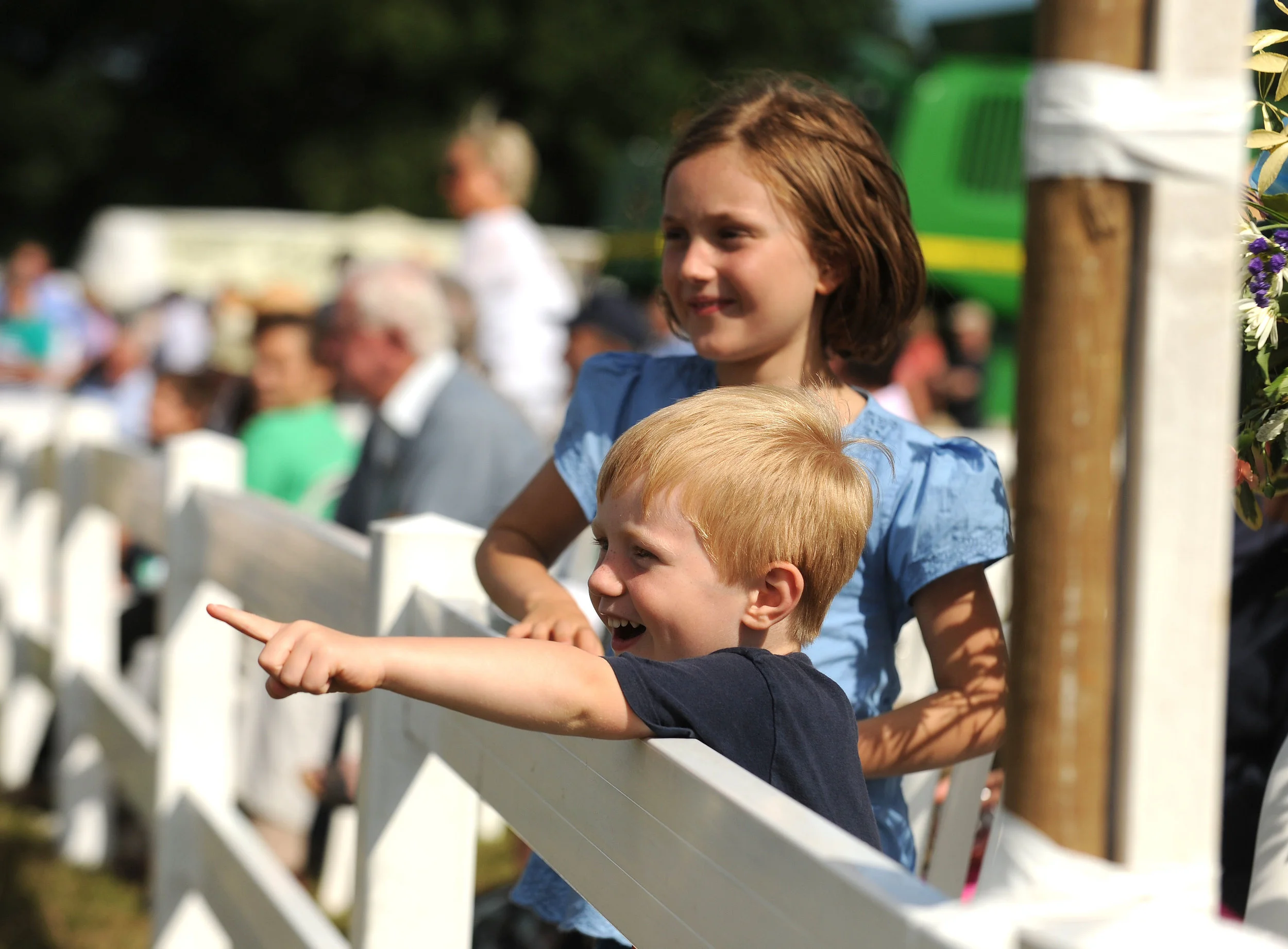 Cranleigh Show