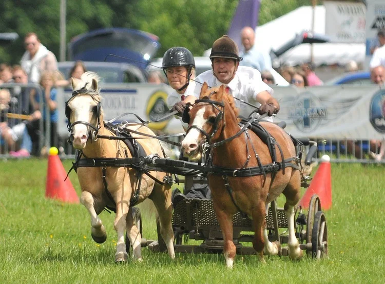 Cranleigh & South Eastern Agriculture Society