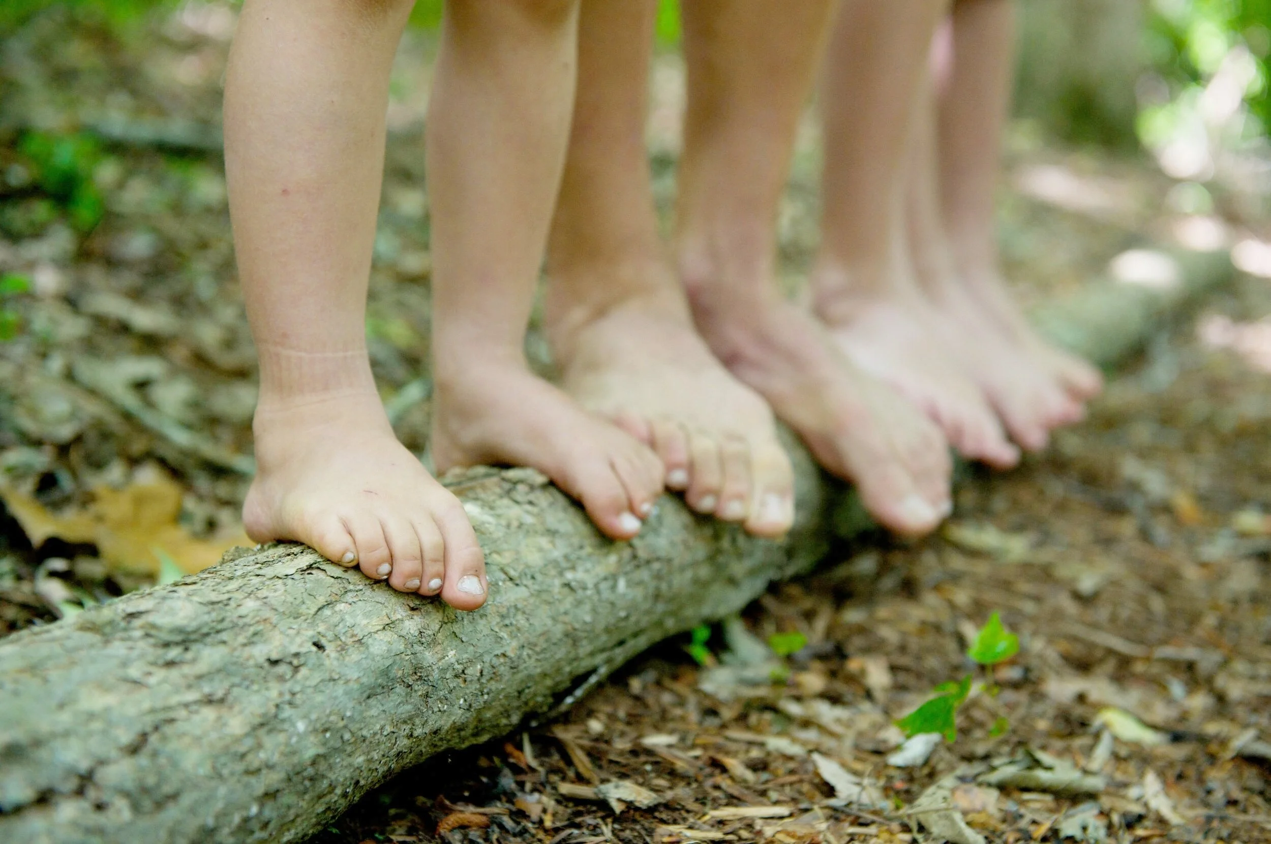 Barefoot Living Arts