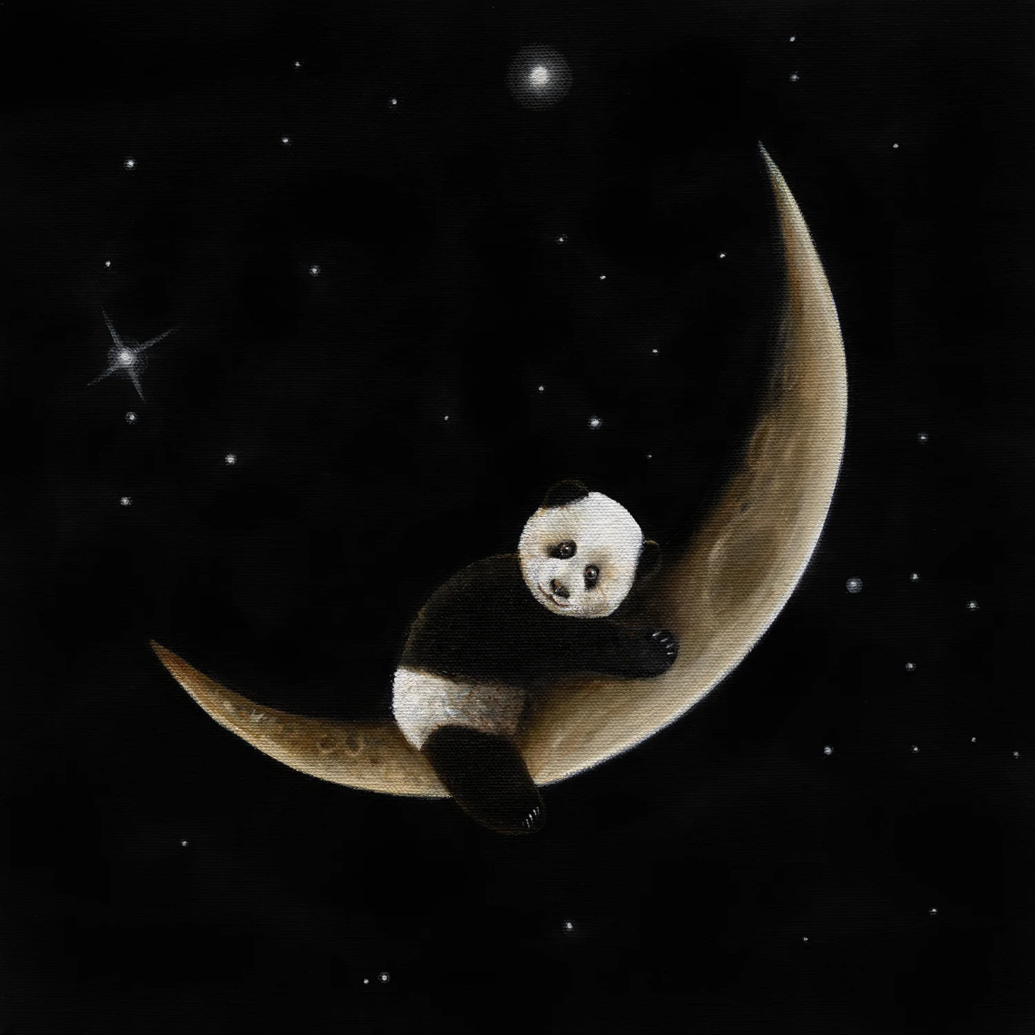New Page — KAREN HOLLINGSWORTH