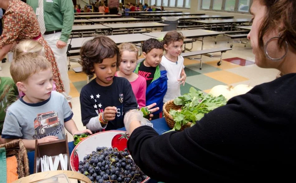 What is Farm to School? — Farm to School