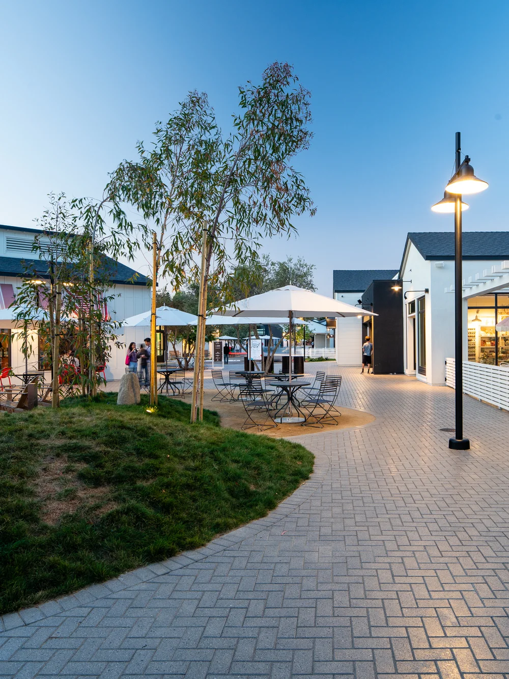 One Paseo | 5+Design