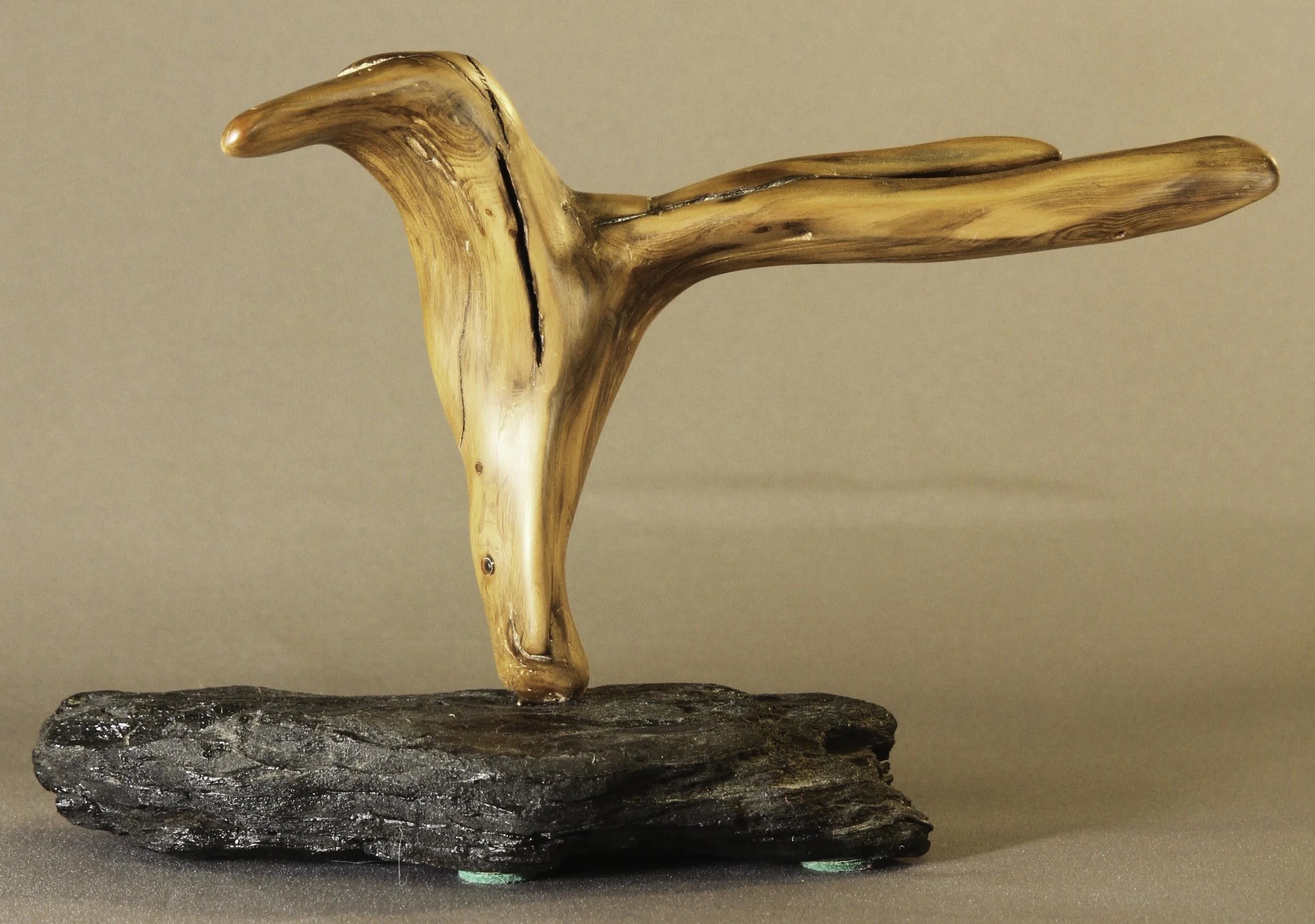 Gallery — Olympic Driftwood Sculptors