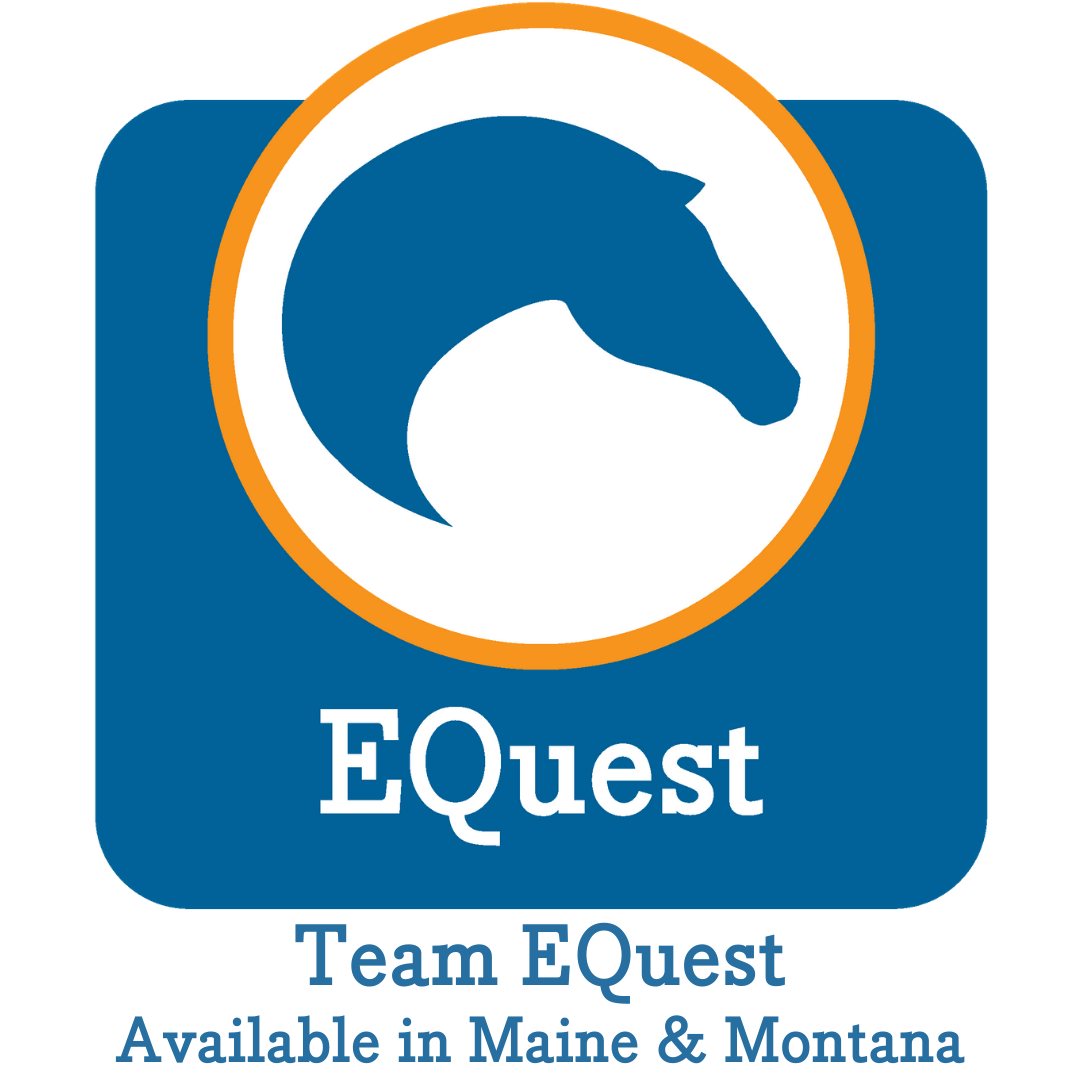 EQuest — SeaChange Resources