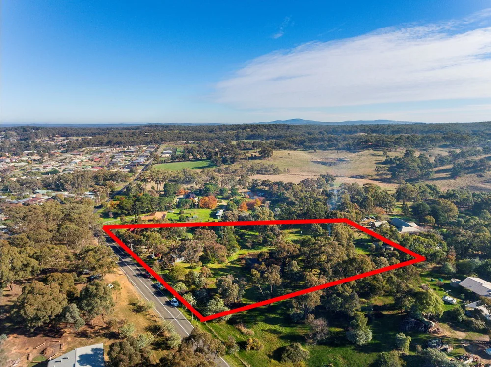 ABOUT — The Paddock