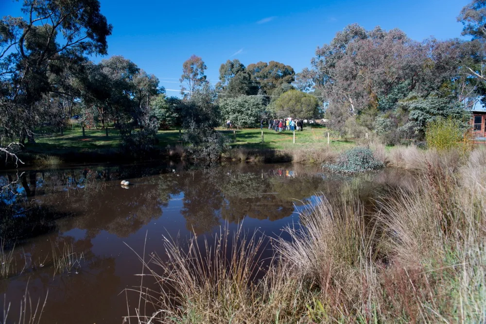 ABOUT — The Paddock