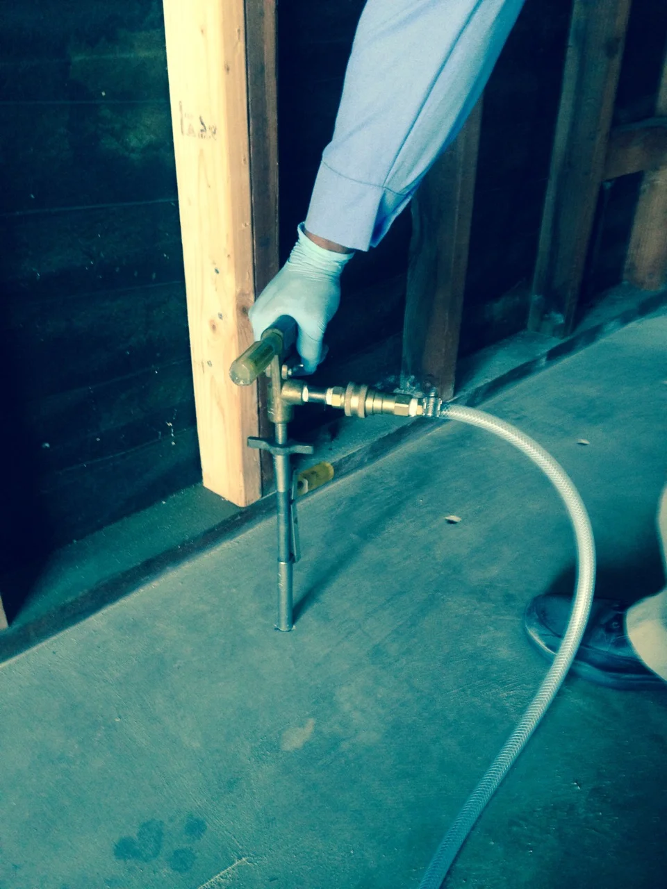 Termite Treatment and Control — Major League Pest Control Vista